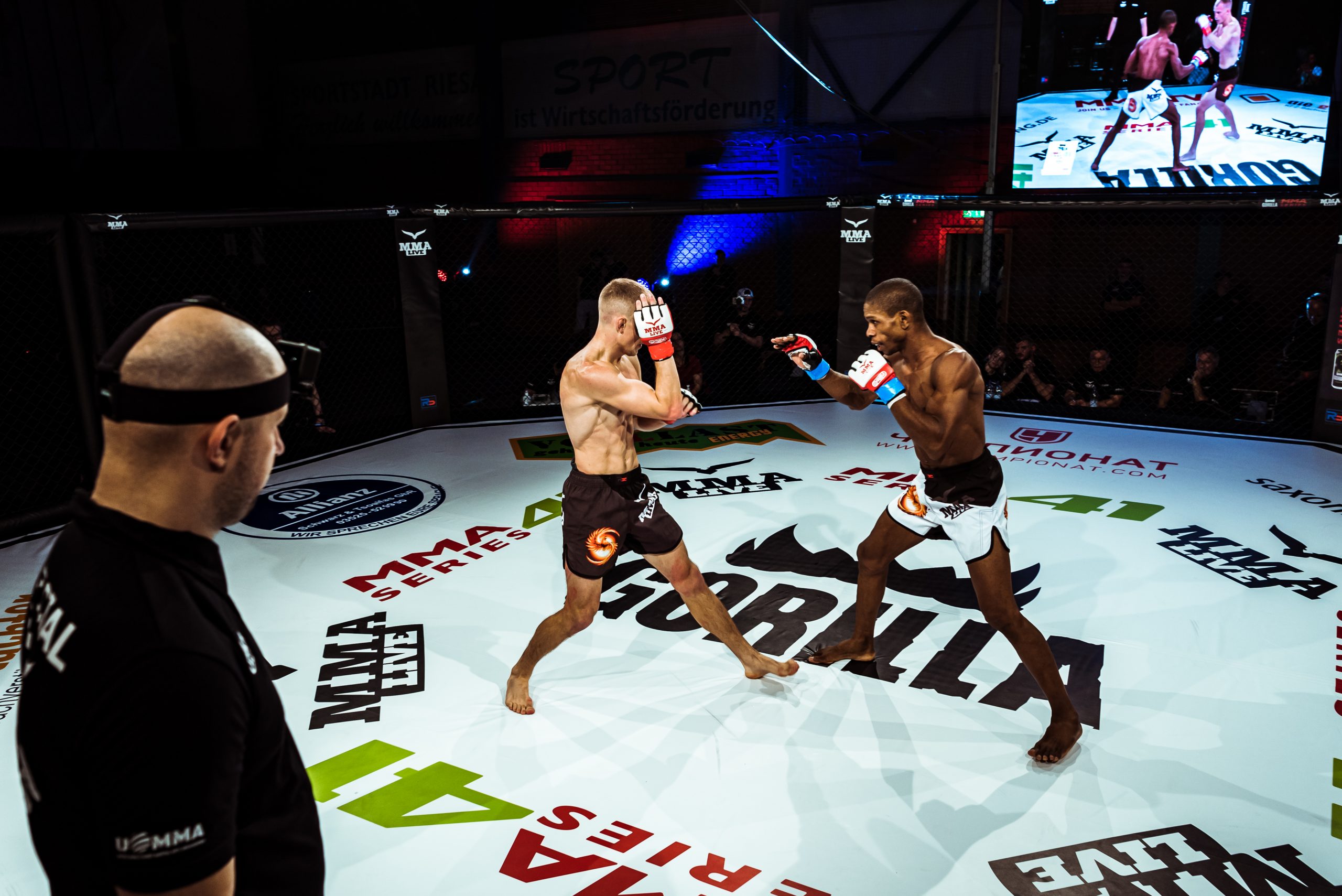 Promotion – MMA LIVE